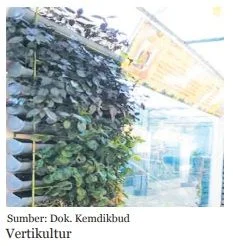 Perkembangbiakan Tumbuhan : Berbagai Jenis (Lengkap) - serupa.id